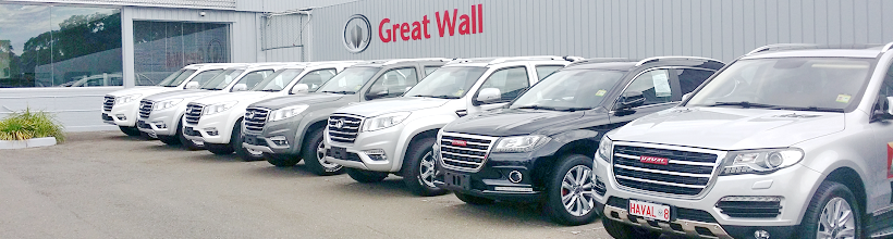 Revenue from Russian GWM sales increased in the first half of 2022 - NAPI