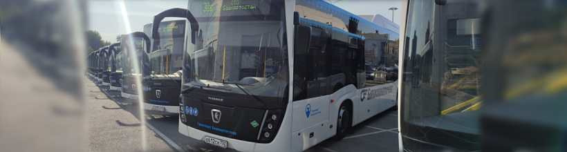 A large batch of KAMAZ buses has been delivered to Bashkortostan - NAPI