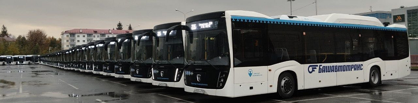 A batch of NEFAZ gas-powered buses has been transferred to Ufa - NAPI