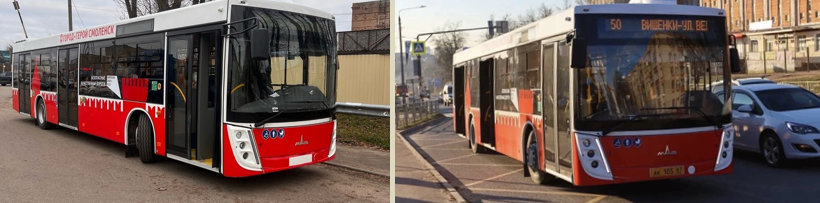 MAZ buses have entered the routes of Smolensk - NAPI