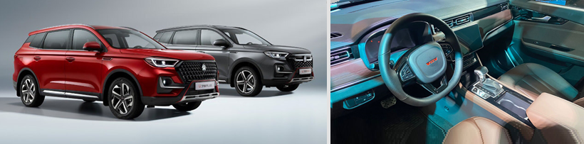 VGV crossovers assembled in Belarus have entered the Russian market - NAPI